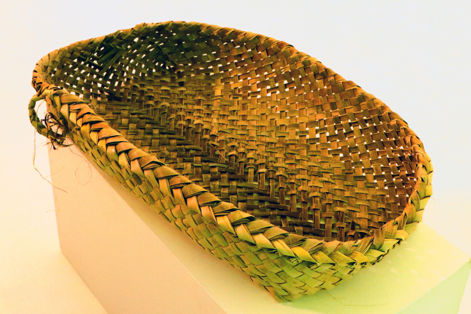 Harakeke Weaving Workshop Dunedin Public Art Gallery